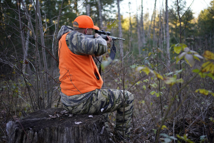 Deer season awaits Pennsylvania hunters | News, Sports, Jobs ...